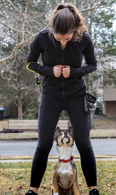 Our Veterinary Team | Fairfax Veterinary Hospital